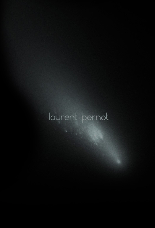 Laurent Pernot - Site officiel de l'artiste contemporain